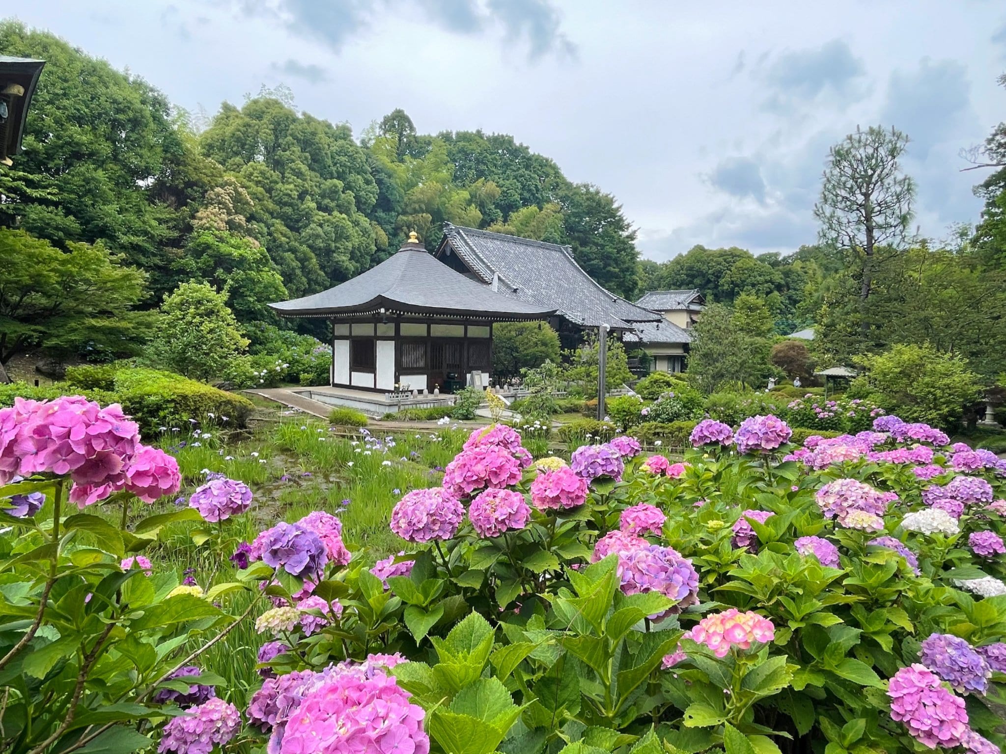 ユニクロのタックワイドパンツを今年もリピ買いしました！……人気5記事まとめ【LEE100人隊・週間ランキング】 | LEE