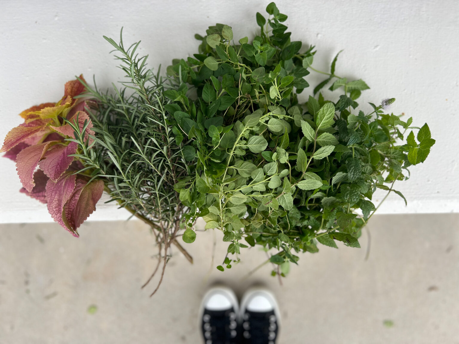 【DAISO】簡単ハーブリース作り！クリスマスに向けて練習しよう 001icoco | LEE