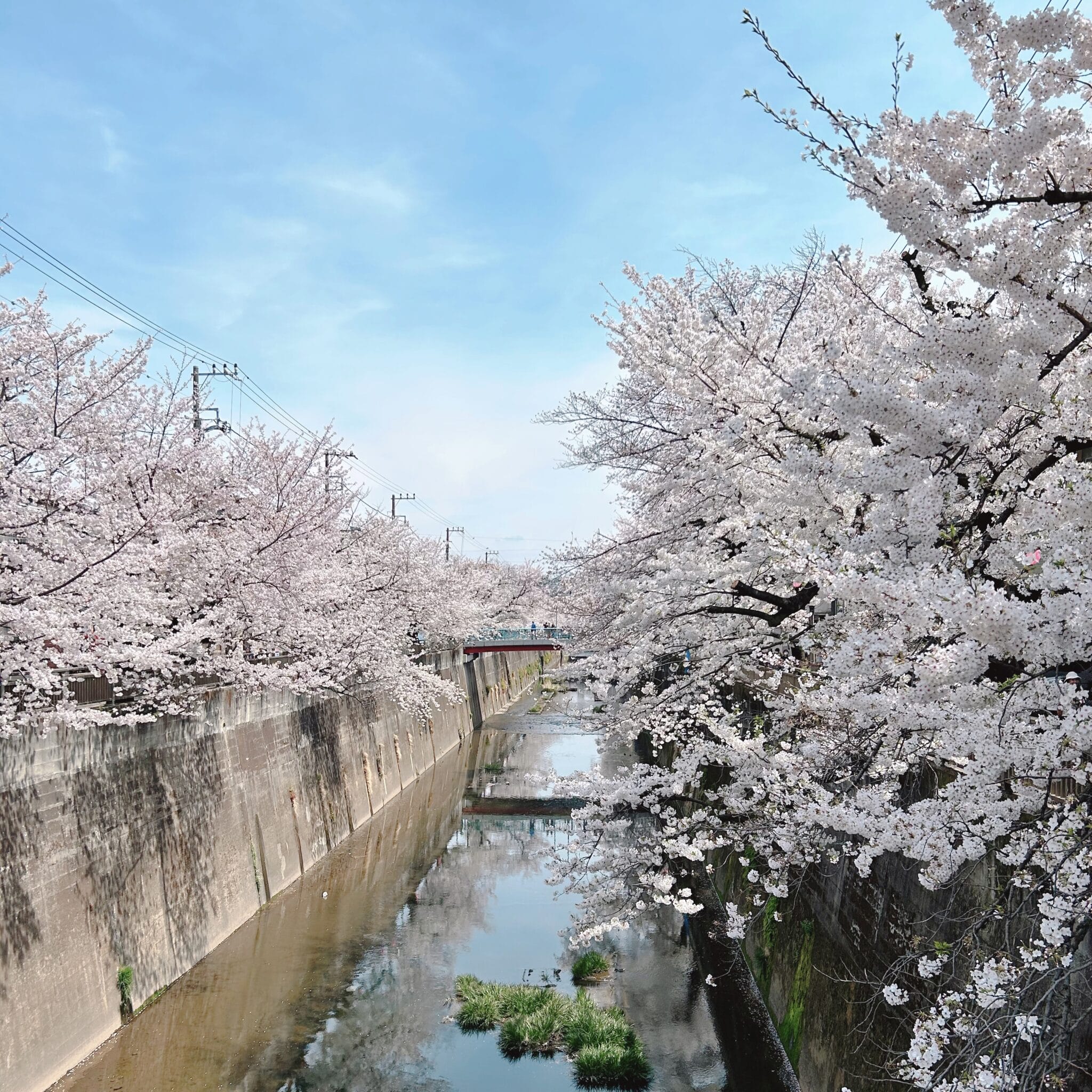 オーバーオール× 3days | LEE