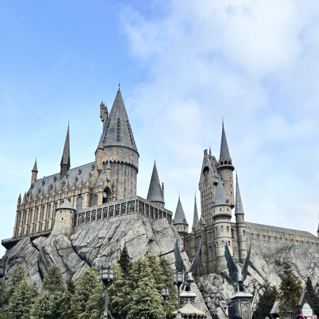 【大阪】家族4人で初めてのUSJへ | LEE