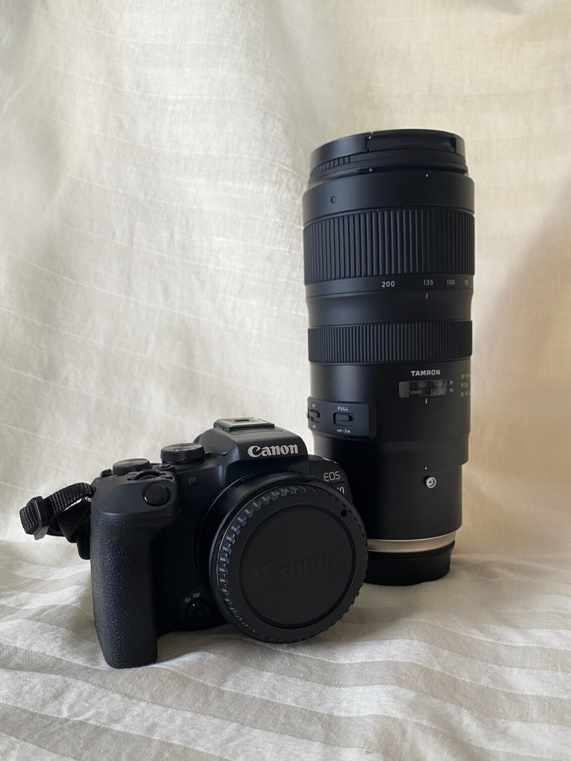 キャノンのミラーレスカメラ「Canon EOS R10」を思い切って購入！TAMRONのレンズを組み合わせてBリーグ観戦を満喫中です／LEEwebえすなのお買い物 | LEE