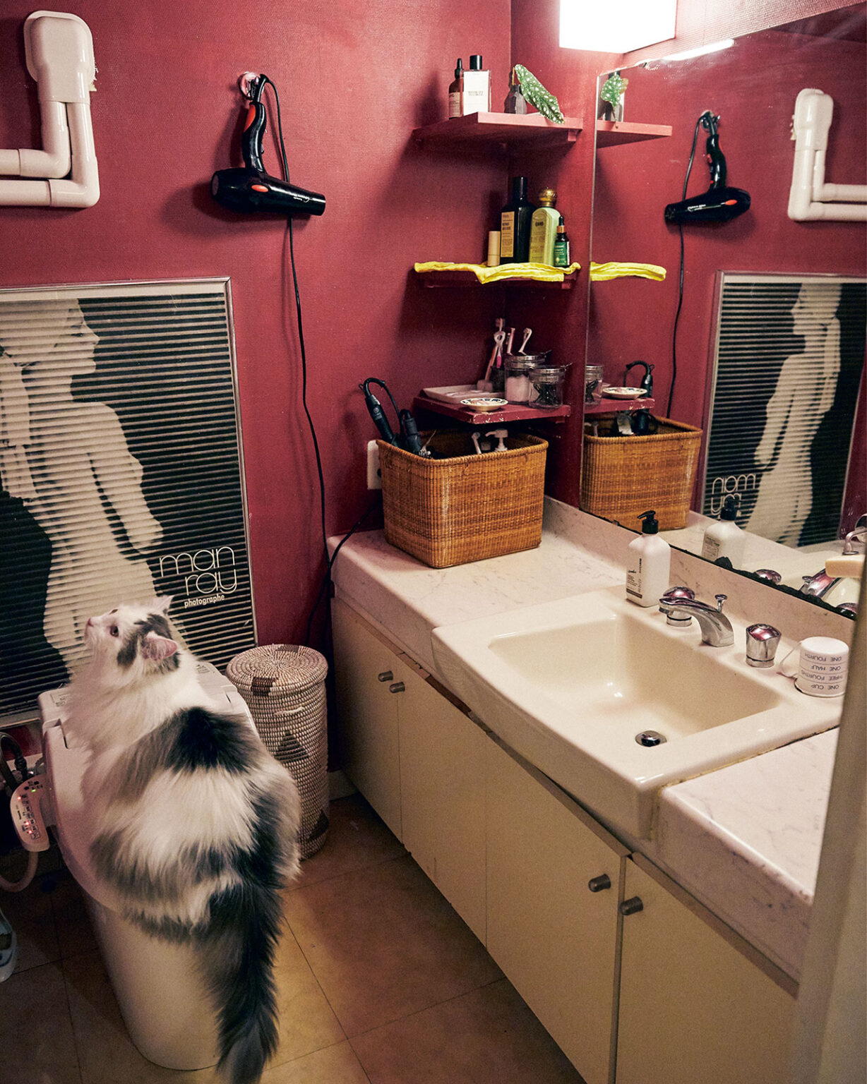 【家具で仕切って寝室を二分化】59㎡／1LDK「パリ暮らしの経験をもとに様々な工夫を」 | LEE