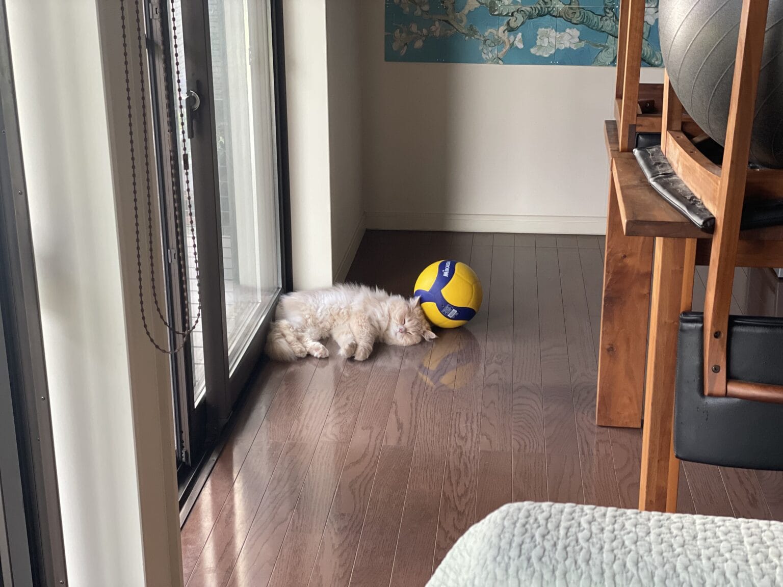 3D サーキュレーター botanical｜siroca | LEE