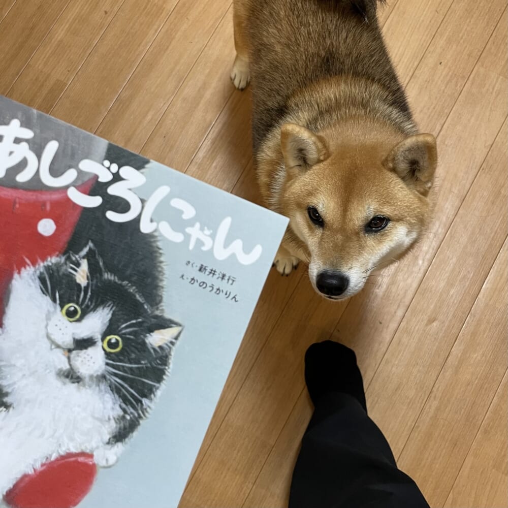 【LEE12月号】レビュー！なんか地味かも？を解決して下さいますよ、有難い！！ | LEE