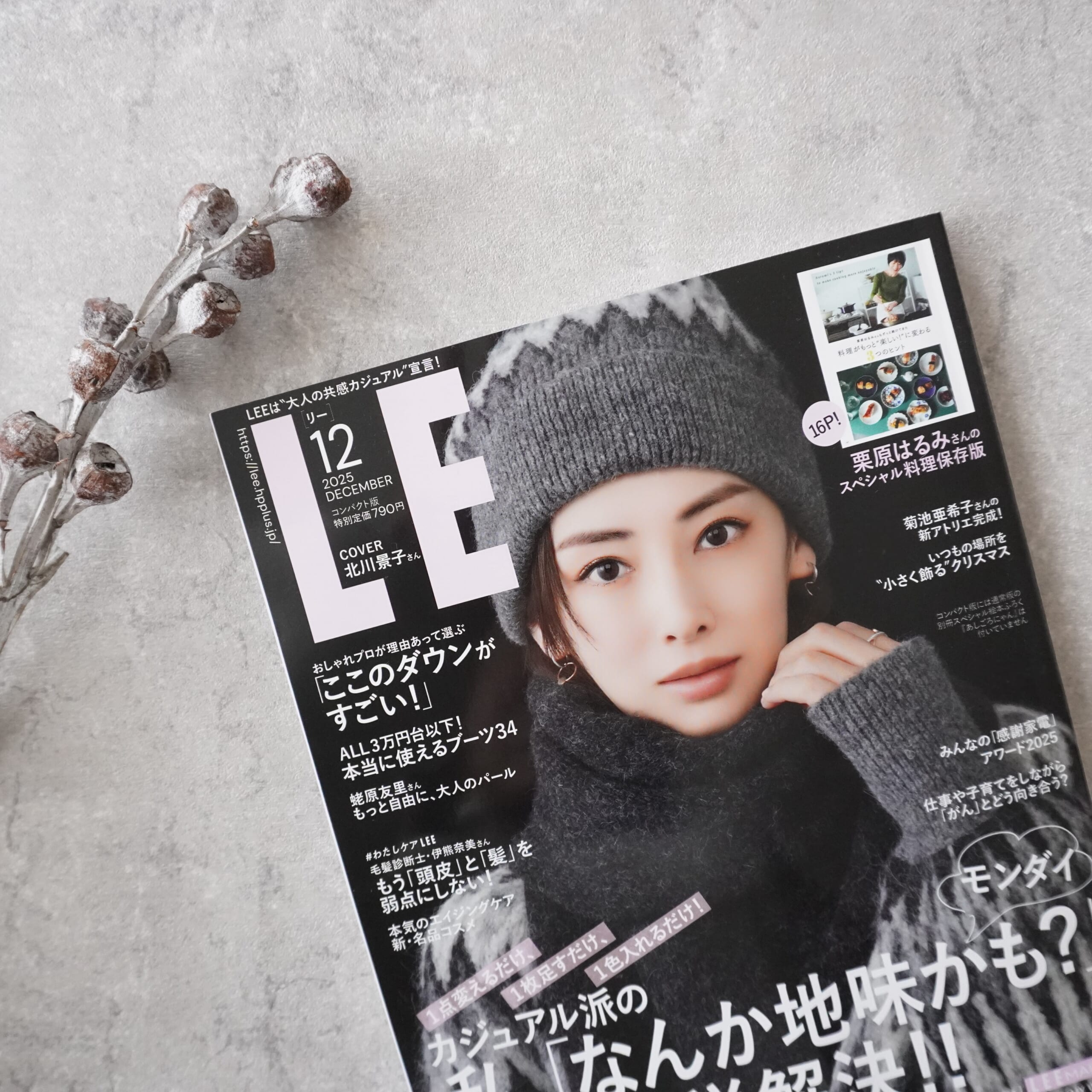 【福を招く"拭く活"】心が整い良い気が入るステキな習慣|LEE12月号レビュー | LEE